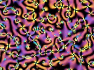 Liquid Crystal Display (LCD) Technology and How LCD Screens Work